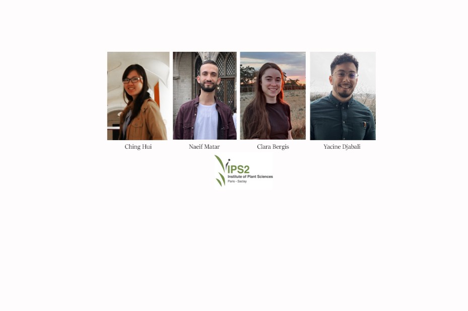 IPS2 - Ametys, Web Java Open Source CMS